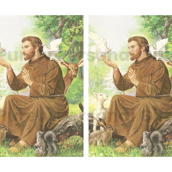 St Francis of Assisi - Etsy