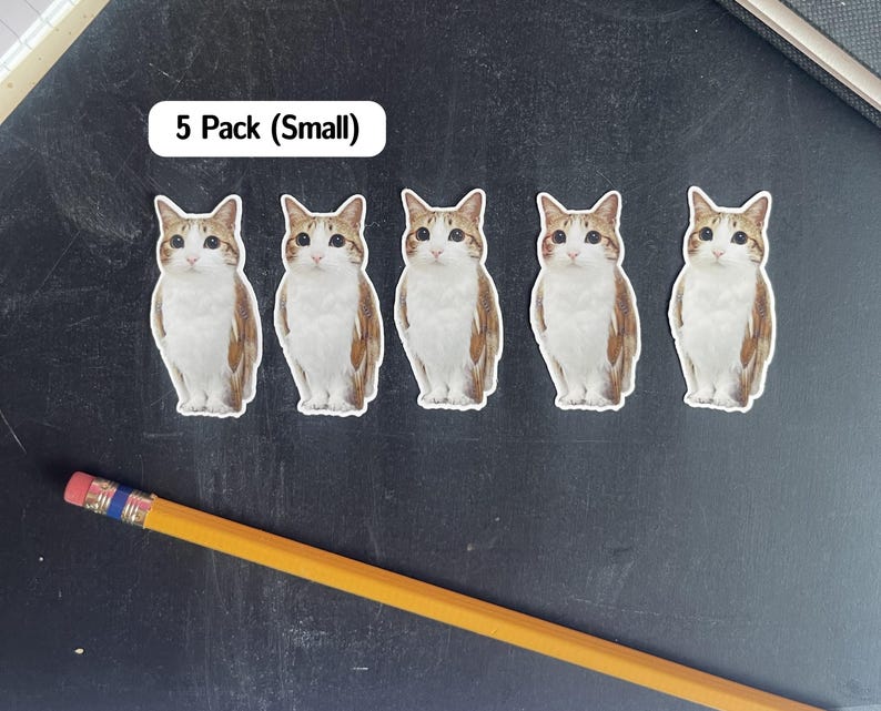 Meowl Sticker Variety Pack, Cute Meme Stickers - Etsy