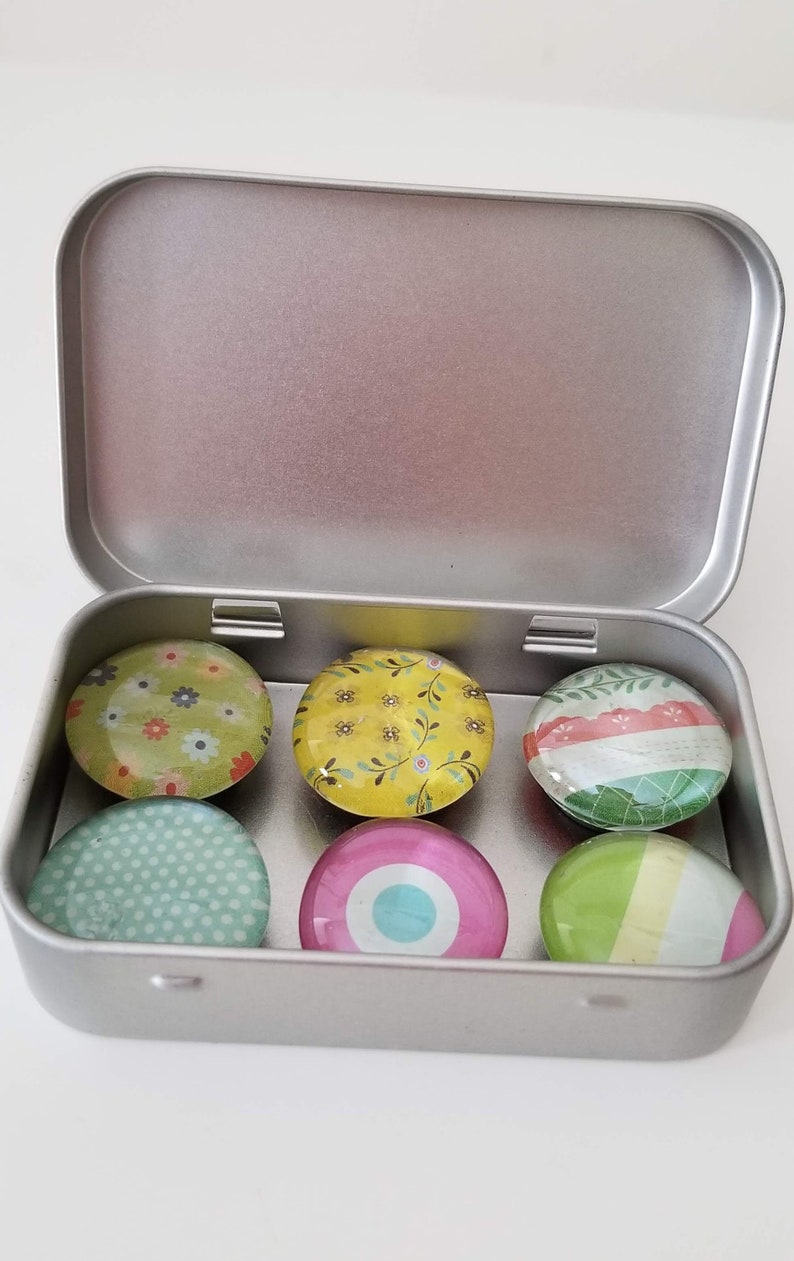 Glass Pebble Magnets Set of 6 Springtime Surprise - Etsy