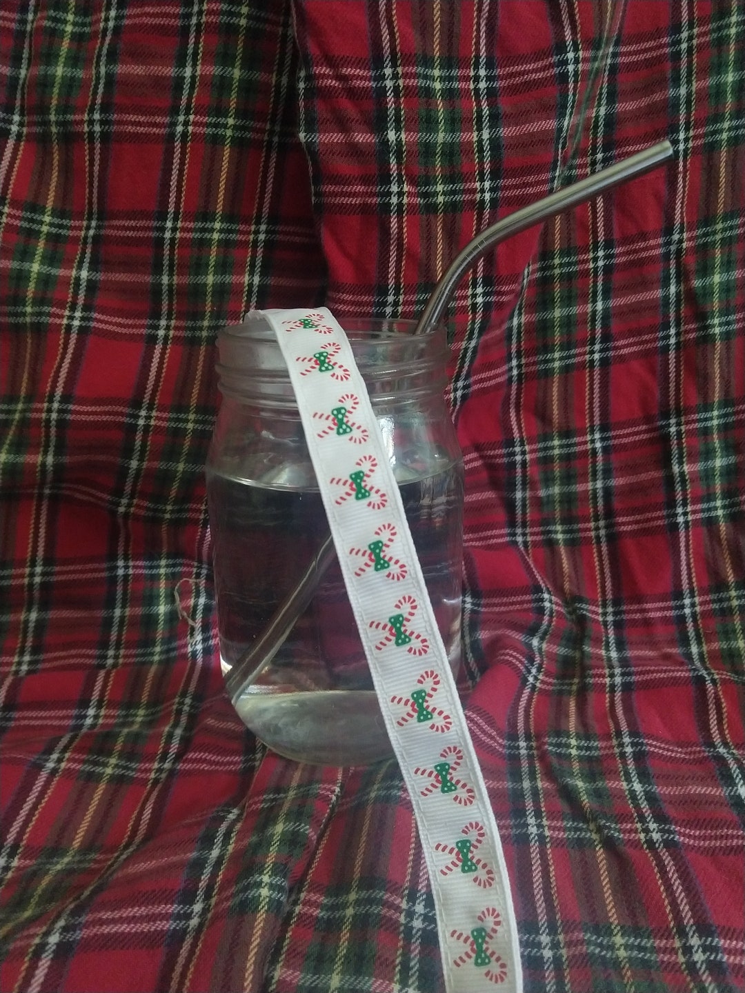 Candy Cane Pocket Straws, Travel Essentials, Metal Straw, Eco-friendly ...