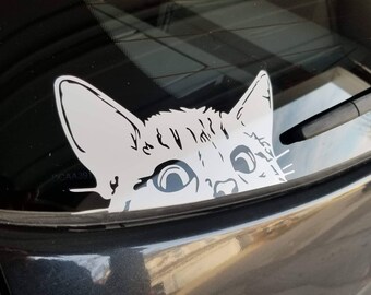 Peeking cat | Etsy