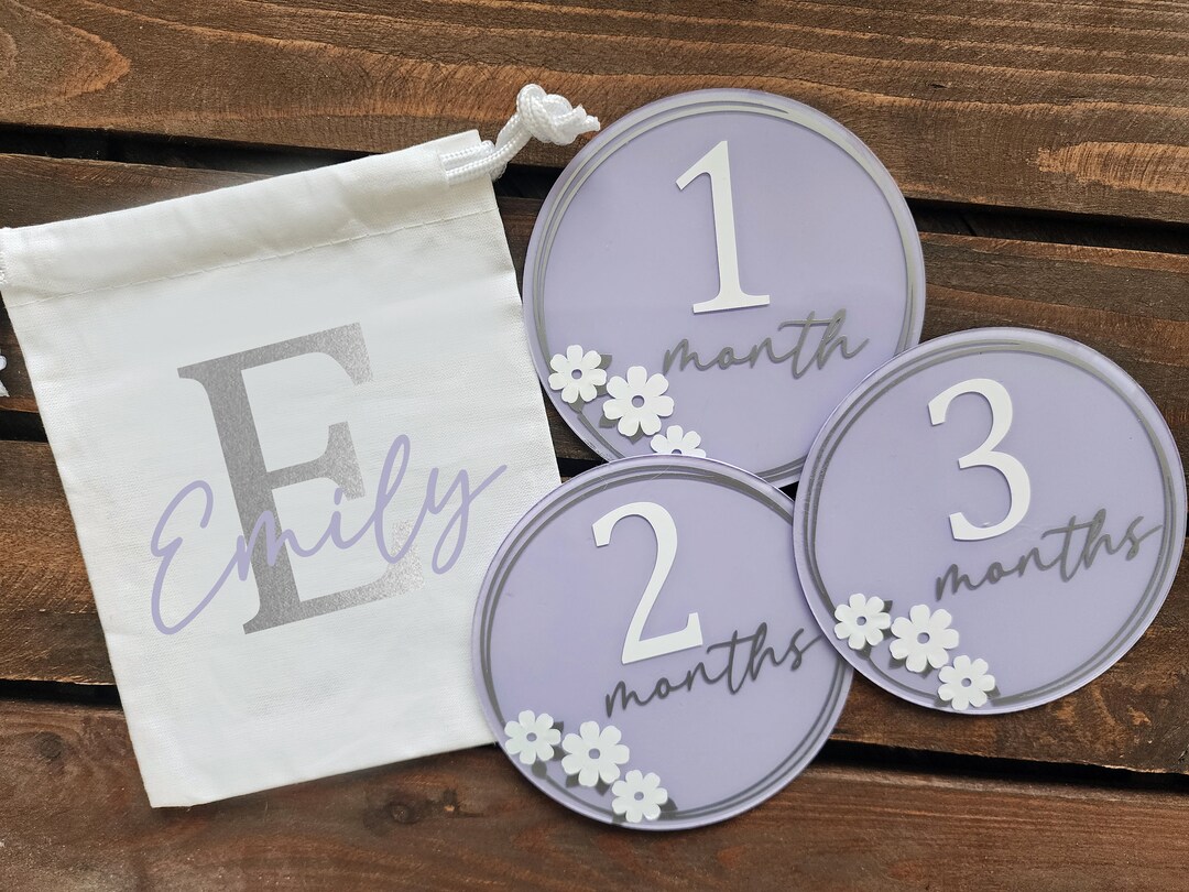 Acrylic Baby Girl Milestone Discs/personalized Baby Shower Gift/monthly ...