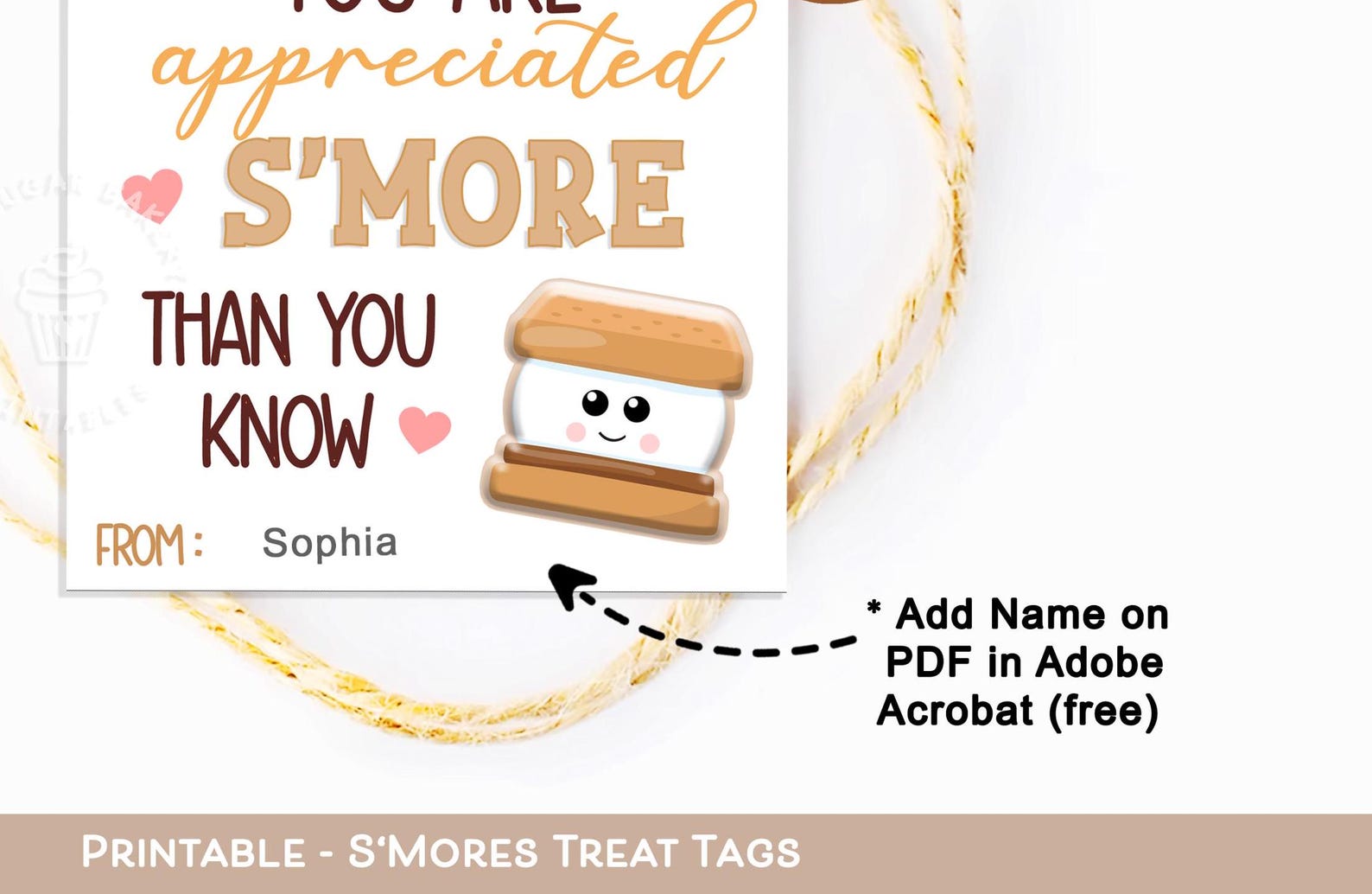 Smore Teacher Appreciation Tag PRINTABLE You Are Appreciated S'more ...