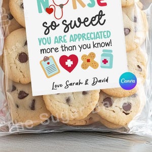 NURSE Appreciation Gift Tags Happy Nurses Week Gift Tag Editable Nurse ...