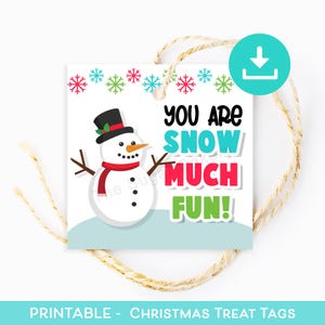 Snowman Treat Tag, You Are SNOW MUCH Fun, Snowman Cookie Tag, Classroom ...
