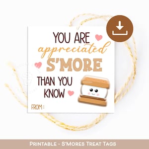 Smore Teacher Appreciation Tag PRINTABLE You Are Appreciated S'more ...