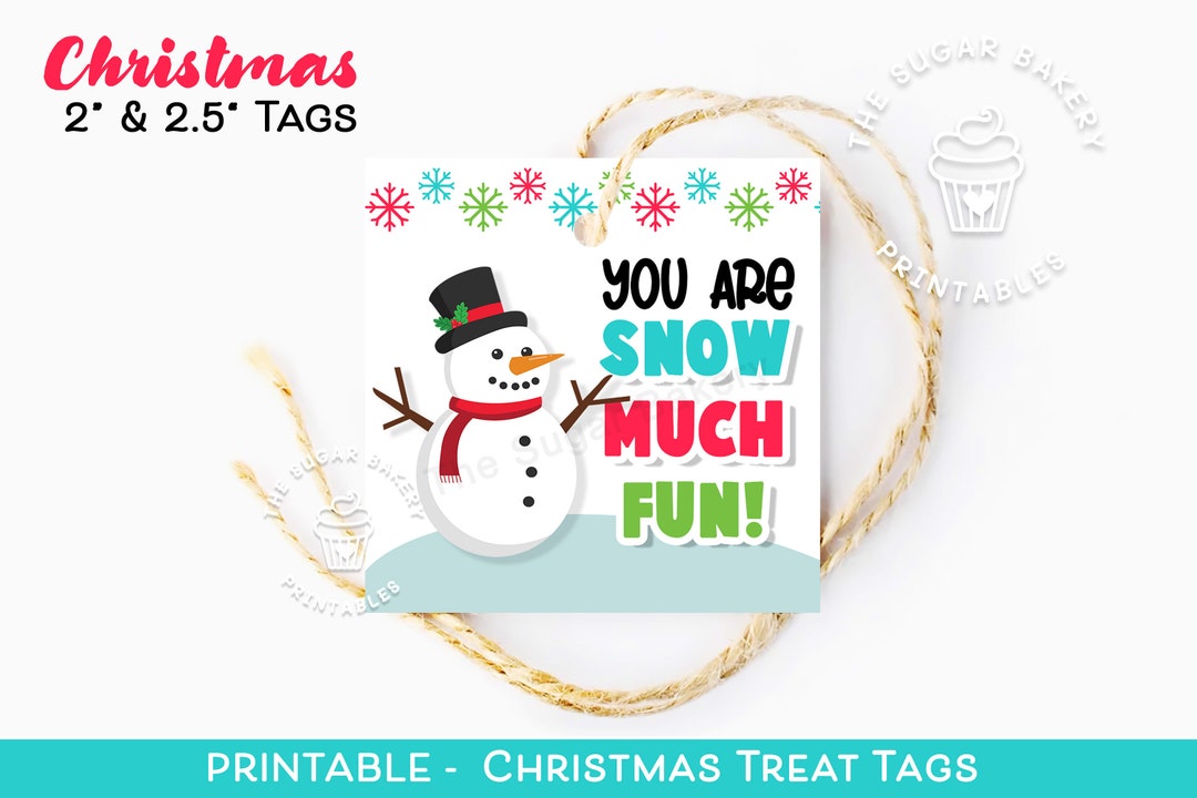 Snowman Treat Tag, You Are SNOW MUCH Fun, Snowman Cookie Tag, Classroom ...
