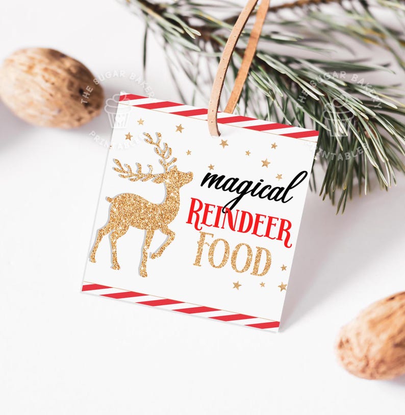 Printable Magic Reindeer Food Label Tag, Christmas Gift Tag, Reindeer ...