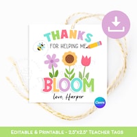 Teacher Appreciation Gift, EDITABLE Thank You for Helping Me Grow Tags ...