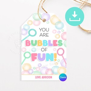 You Are BUBBLES of Fun Editable Tag End of the School Year Bubble TAG ...