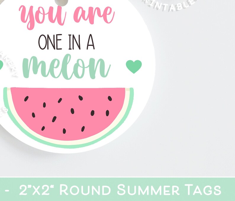 You Are ONE in a MELON Tags, Watermelon Tags, Watermelon Cookie Tag ...