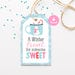 Have a SWEET SUMMER Tag, Popsicle Ice Cream Printable Treat Tag, End of ...