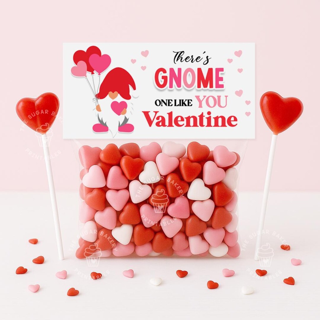 Valentine GNOME Treat Bag Topper, Valentines Day Cookie BAG TOPPER ...