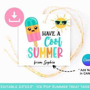 Have a COOL Summer Tag, EDITABLE Ice Cream Popsicle Tag, Have a Sweet ...