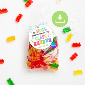 Printable Gummy Bear Tag, BEARY Glad You're in My CLASS Gummy Bear Tag ...