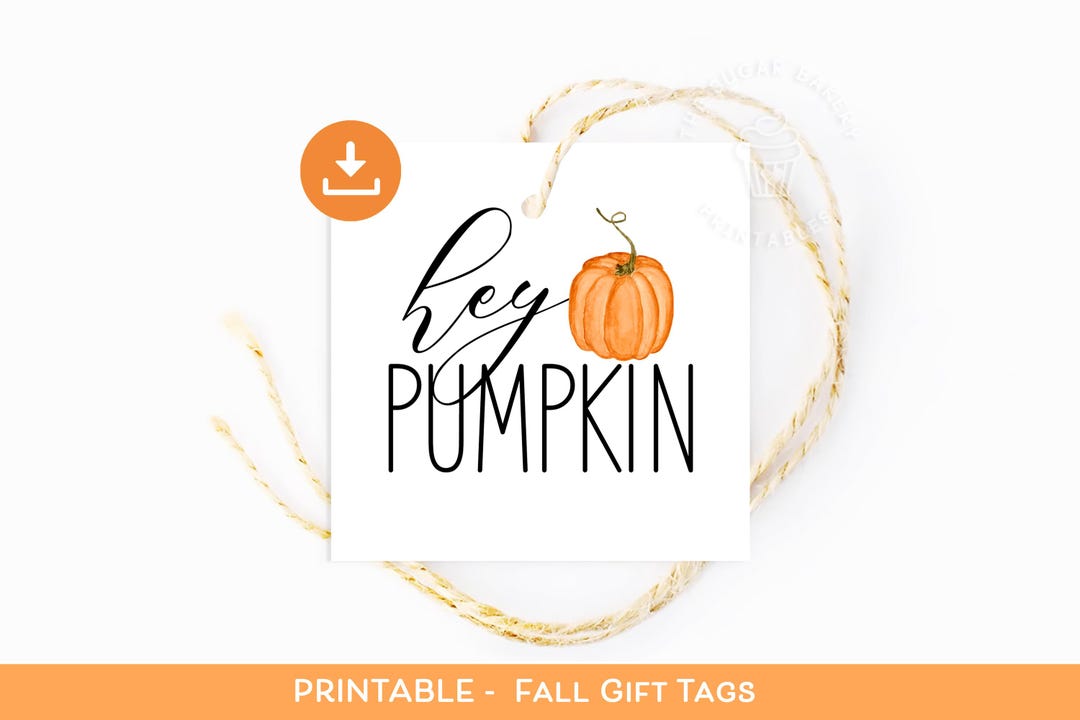 Hey Pumpkin Fall Gift Tags, Printable Autumn Thanksgiving Tag, Pumpkin ...