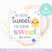Printable Sweet TWEET Easter Tags, Easter Treat Someone Sweet, Teacher ...