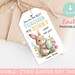 Printable Easter Teacher Gift Tag, Teacher Appreciation Bunny Printable ...