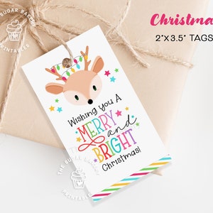 Reindeer Gift Tag - 60+ Gift Ideas for 2024