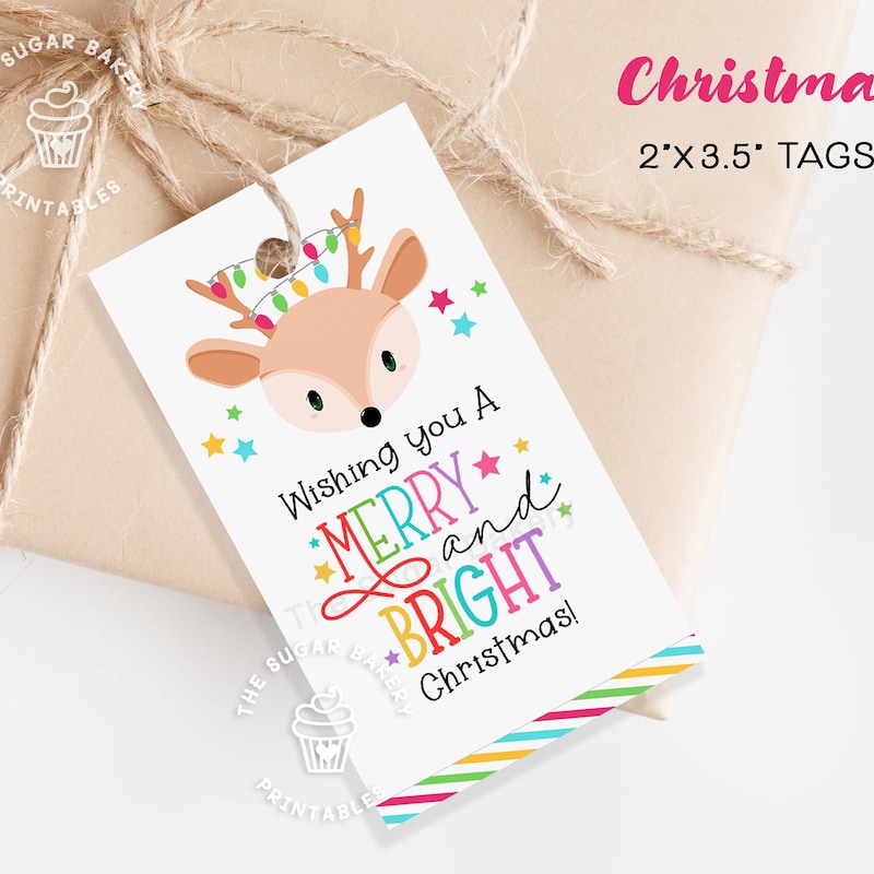 Reindeer Gift Tag - 60+ Gift Ideas for 2024
