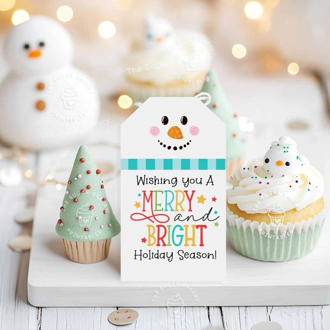 Snowman Cookie Tag, Wishing You a Merry & Bright Holiday Tag, Snowflake ...