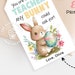 Printable Easter Teacher Gift Tag, Teacher Appreciation Bunny Printable ...