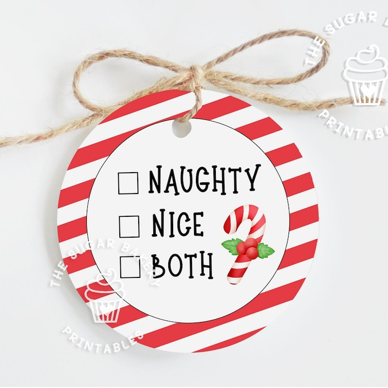 Naughty or Nice Tags - Etsy
