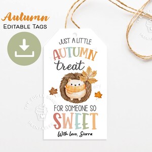 Printable Autumn Gift Tag Hedgehog Treat for Someone Sweet HEDGEHOG ...