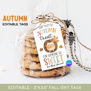 Printable Autumn Gift Tag Hedgehog Treat for Someone Sweet HEDGEHOG ...