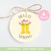 Printable SPRING Cookie Tags, Hello Spring 2"x2" Gift TAGS, Rain Boots ...