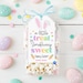 Printable Easter Gift Tag, Easter Bunny SWEET Treat Tag Classroom Tags ...