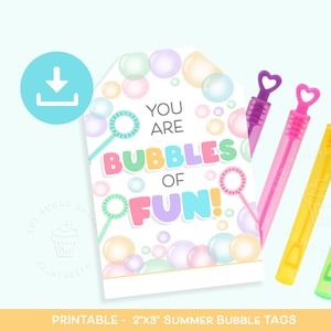 You Are BUBBLES of Fun Editable Tag End of the School Year Bubble TAG ...