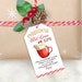Printable Hot Chocolate Bomb Tags, Christmas Hot COCOA BOMB Tags, SANTA ...