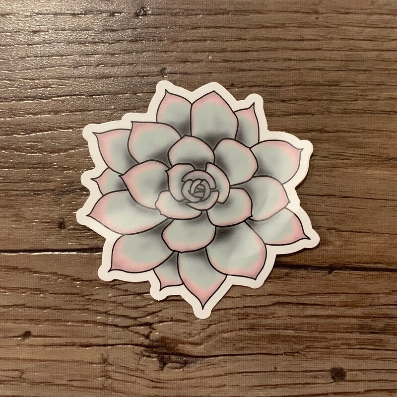 Succulent Decal - Etsy