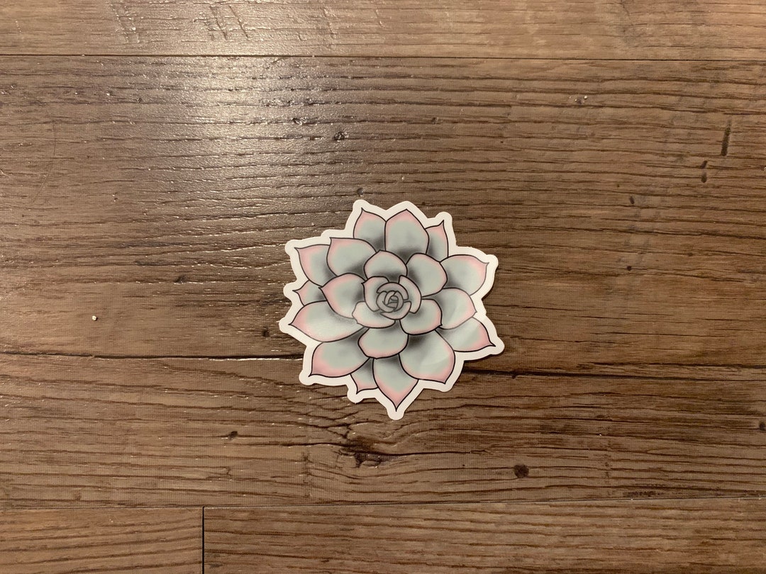 Succulent Decal | Car Decal | Vinyl Decal - Etsy