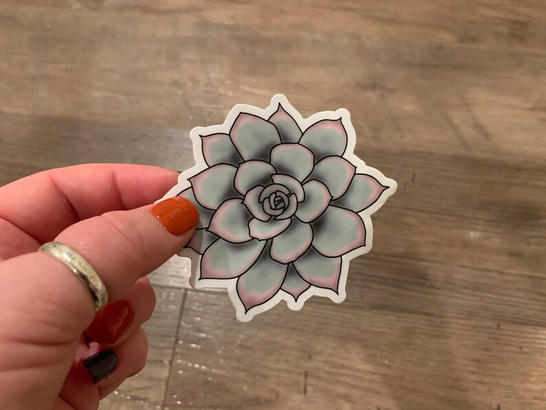 Succulent Decal | Car Decal | Vinyl Decal - Etsy