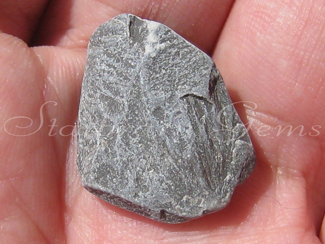 One Rare Master Shamanite With Certificate of Authenticity Genuine ...