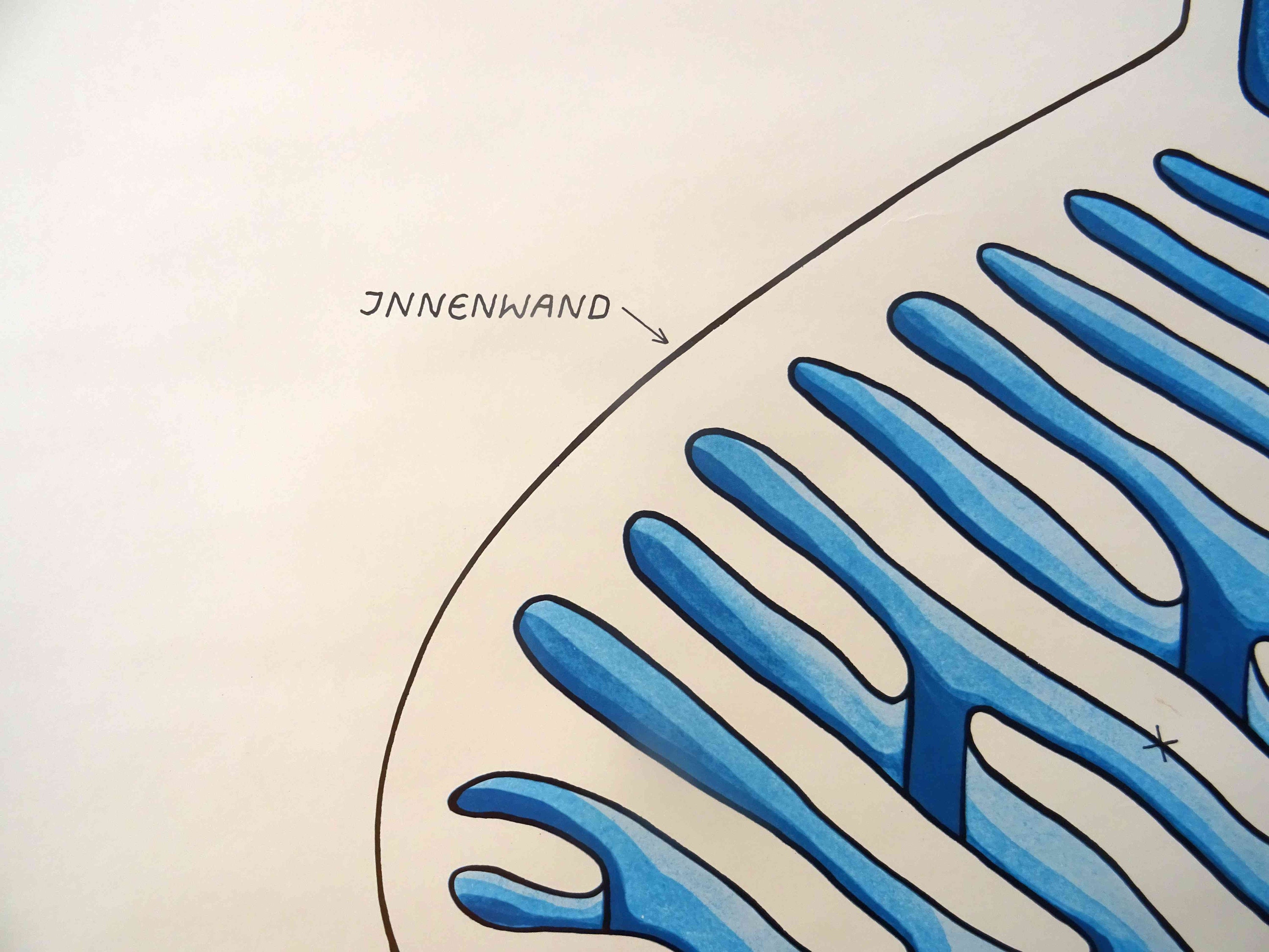 Vintage School Chart | Mitochondrium (I), Submicroscopic Structures of ...