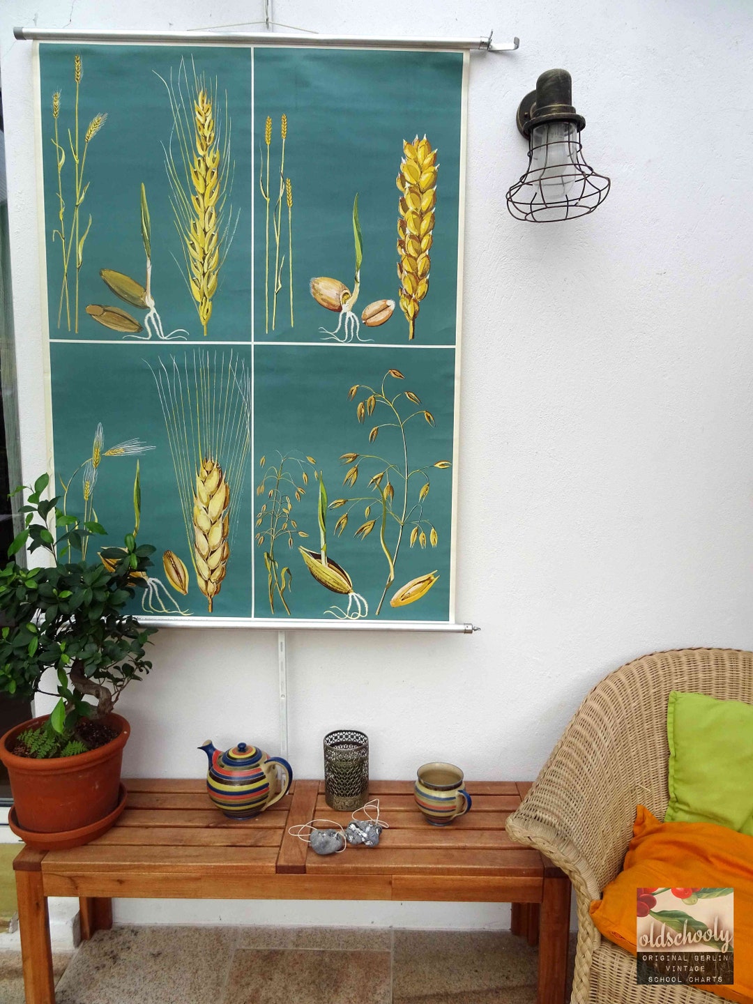 Vintage School Chart | Cereals, Grain 0009 (rye, Wheat, Barley, Oats ...