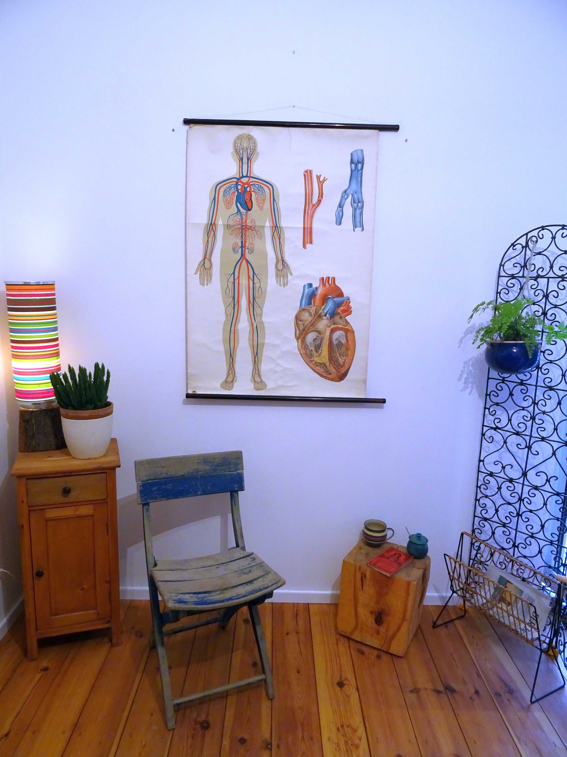 Vintage School Chart | Heart II / Body / Medicine, 80s, Retro Vintage ...