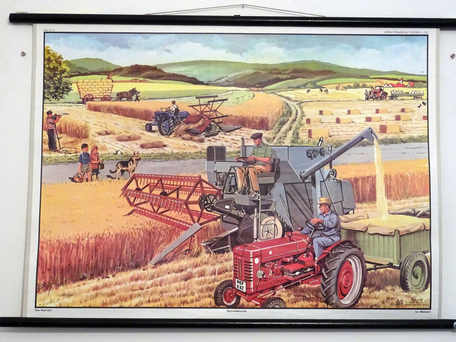 Vintage School Chart | "grain Harvest", 1968, 60s Rare! Retro, Vintage ...