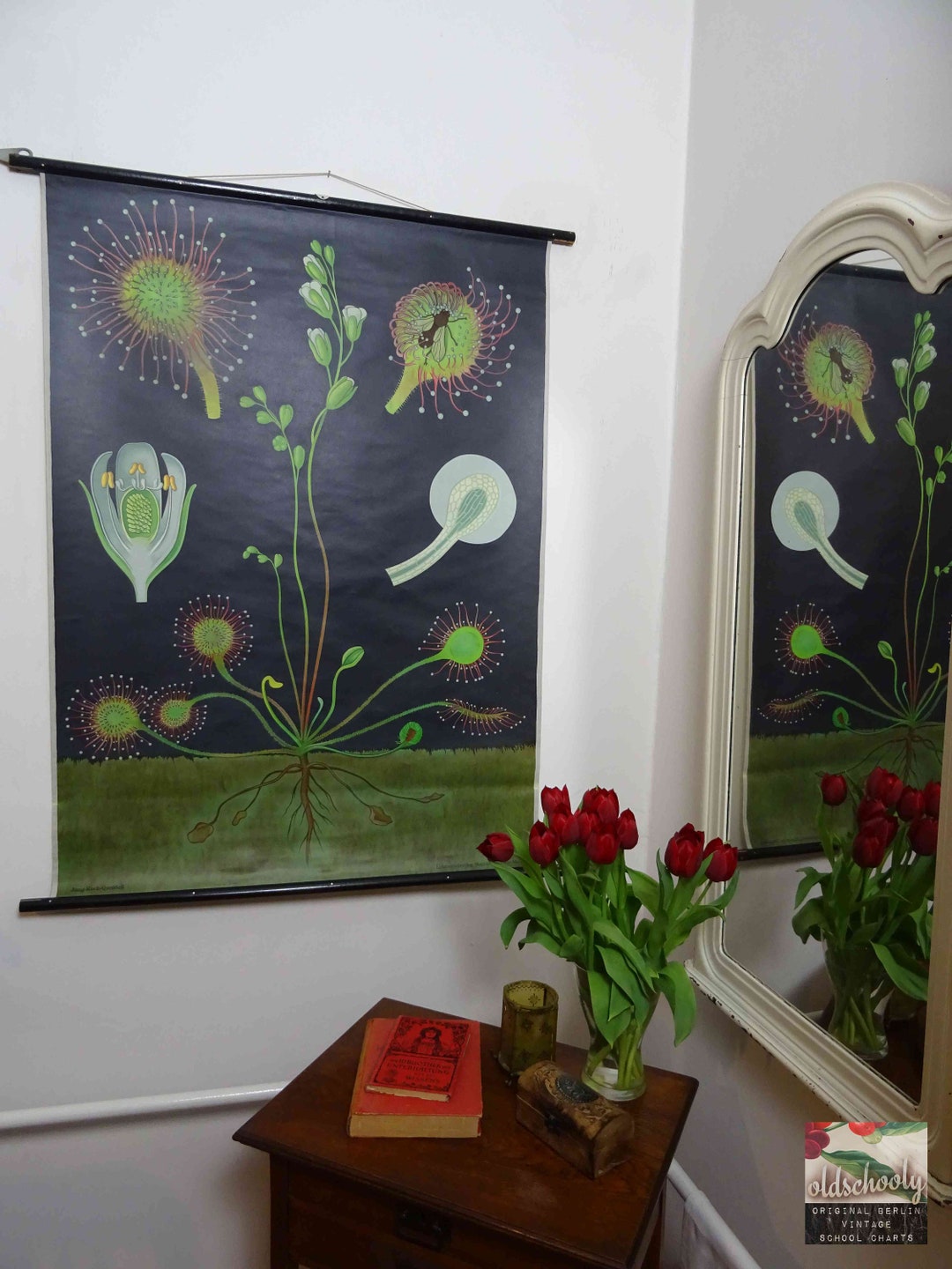 Vintage School Chart | Sundew 0068 - Jung Koch Quentell, 70's Retro ...