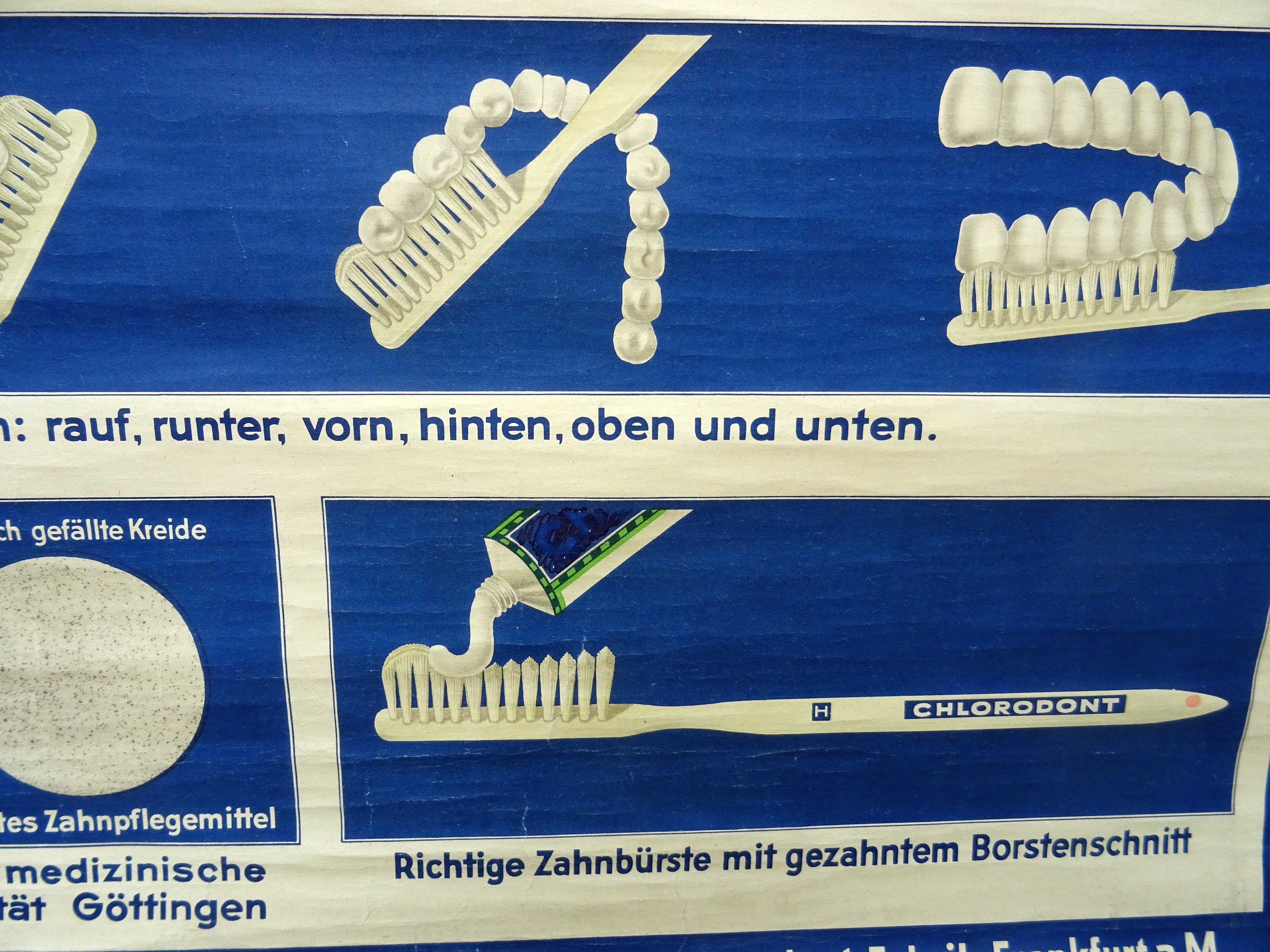Vintage School Chart | "healthy Teeth - Healthy Body" / Medicine, 1950 ...