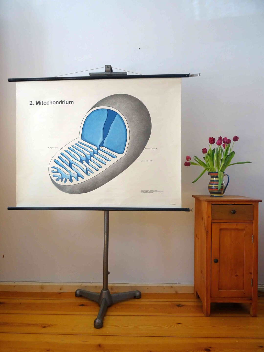 Vintage School Chart | Mitochondrium (I), Submicroscopic Structures of ...