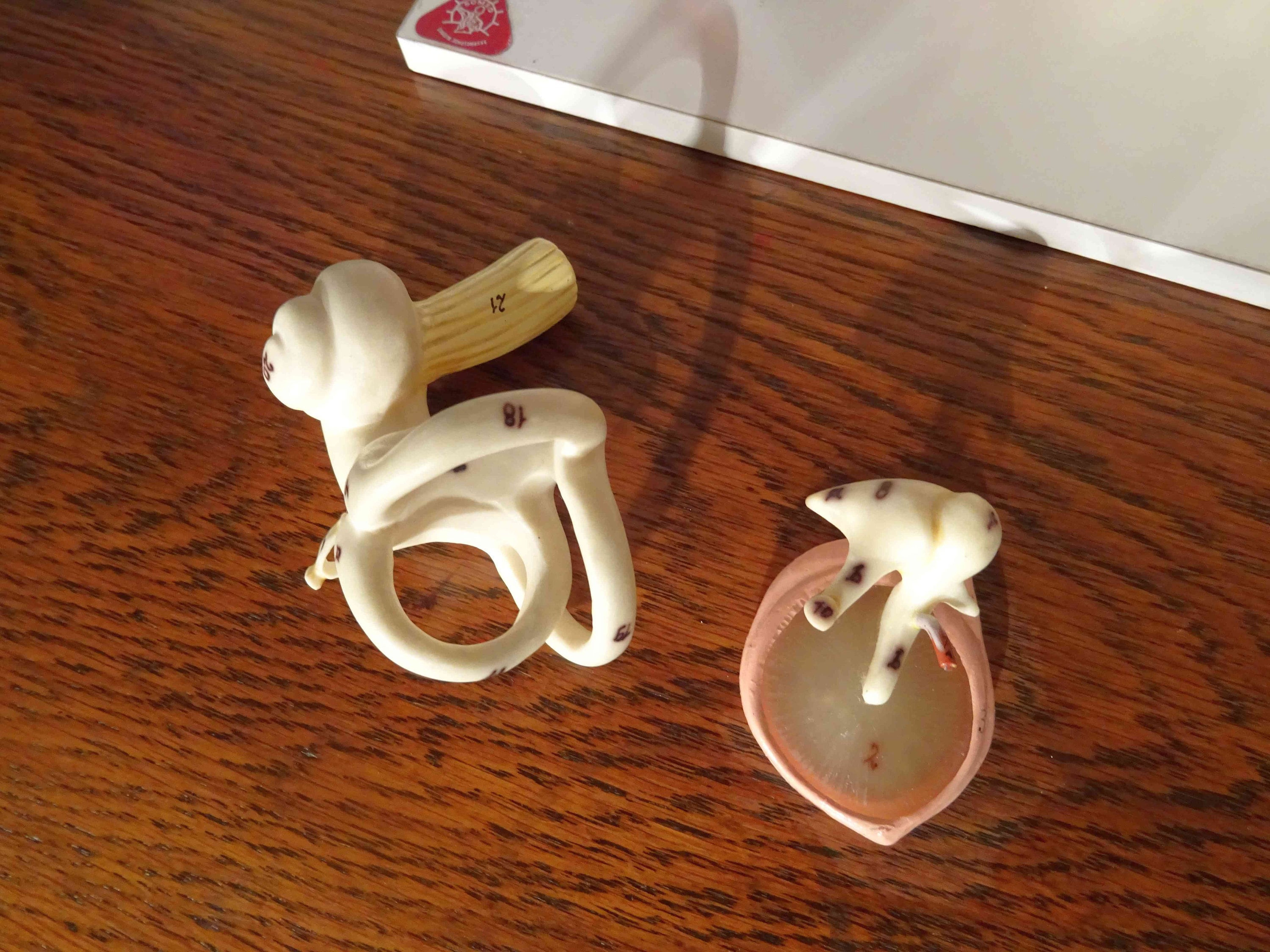 Original Vintage Educational Model | the Human Ear / Hearing - Somso ...