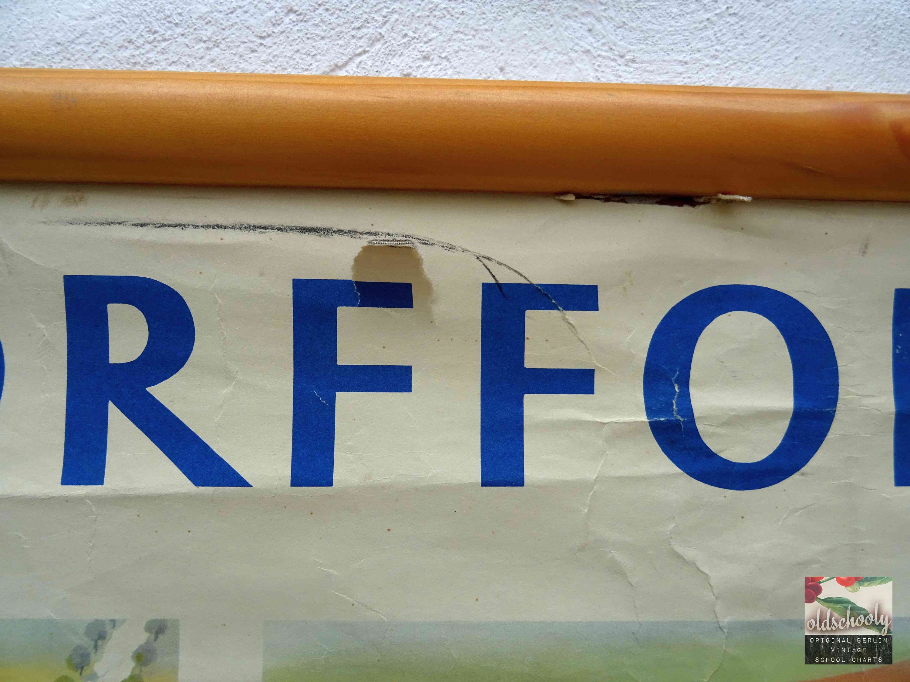 Schulwandkarte | "Dorfformen I" Dorf 0014 / Haufendorf / Einzelsiedlung ...