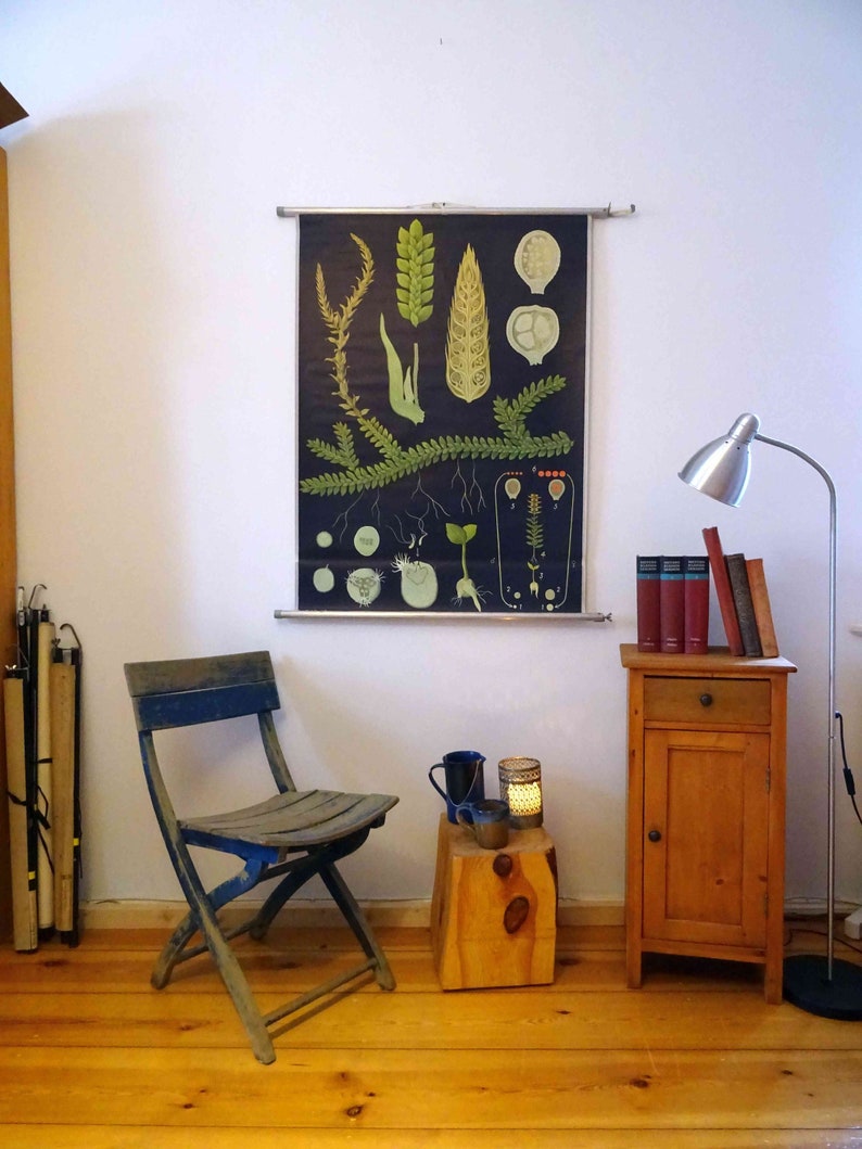 Vintage School Wall Chart – Moss / Ferns | 1970s Botanical Poster ...