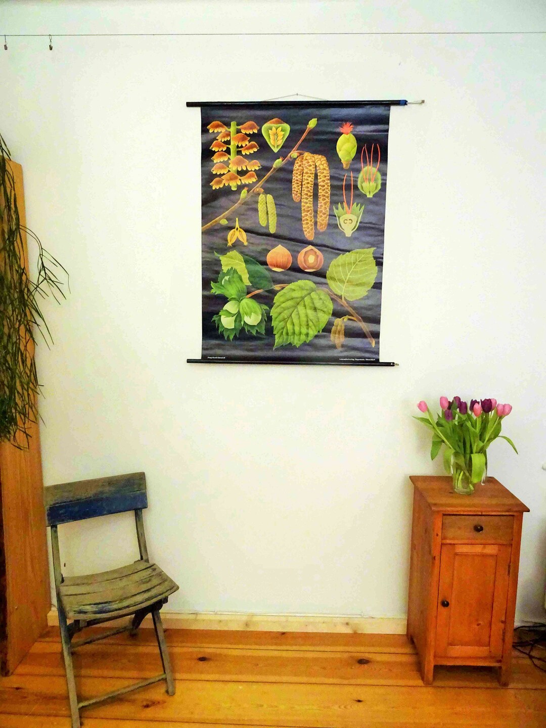 Vintage School Chart | Hazel / Hazelnut - Jung Koch Quentell, 70's ...