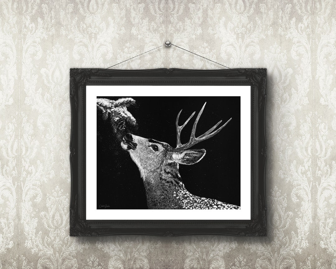 Deer Art Print, Black and White Scratchboard Fine Art, Limited Edition ...