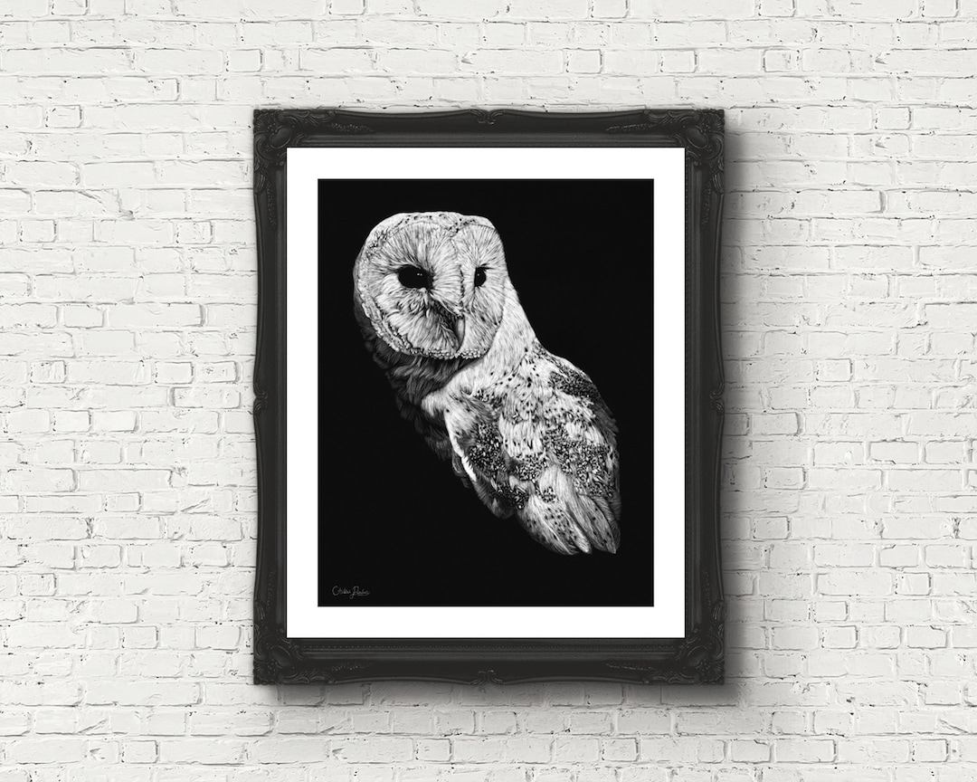 Barn Owl Scratchboard Art Print, Black and White Fine Art, 11x14 - Etsy